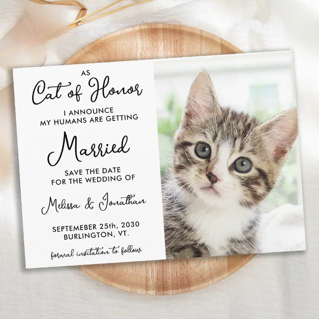 Cat Of Honor Custom Pet Photo Casual Wedding Save The Date | Zazzle