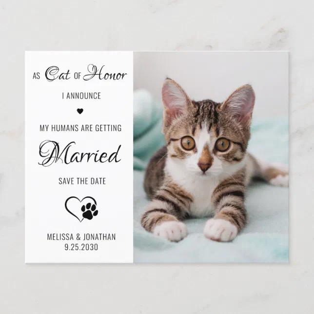 Cat Of Honor Pet Photo Cat Save The Date Cards | Zazzle