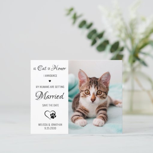 Cat Of Honor Pet Photo Cat Save The Date Cards | Zazzle