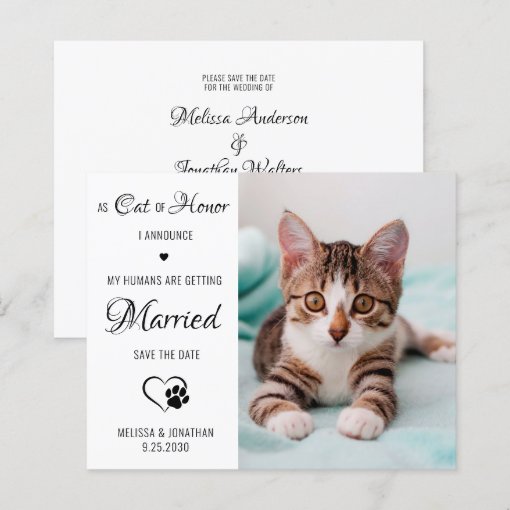 Cat Of Honor Pet Photo Cat Save The Date Cards | Zazzle