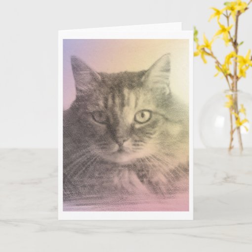 cat pet loss card | Zazzle