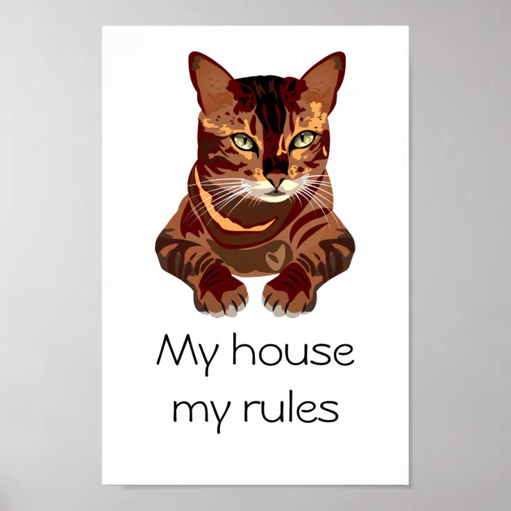Cat Poster | Zazzle