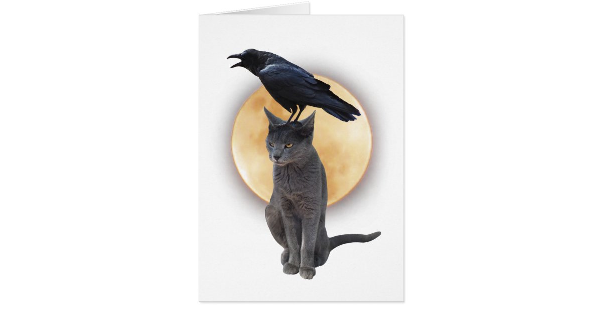 Cat Raven Moon Card | Zazzle