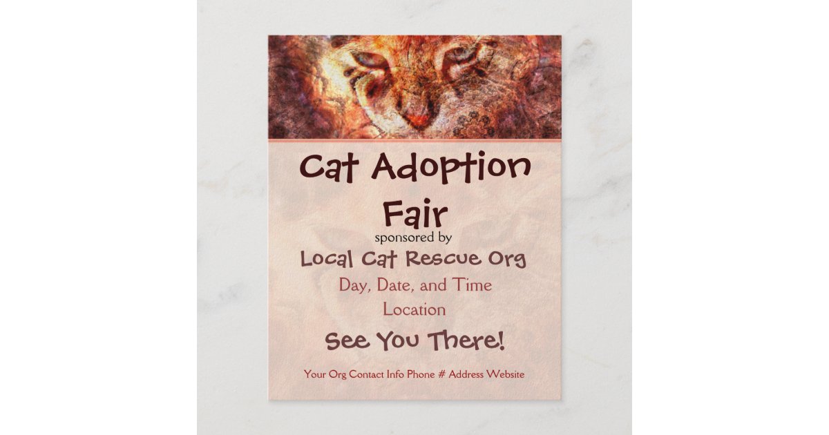 Cat Rescue Event Flyer | Zazzle