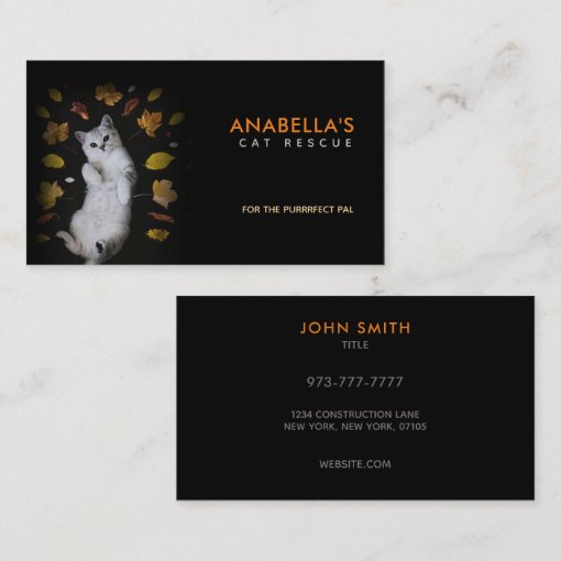 Cat Rescue Slogans Business Cards | Zazzle