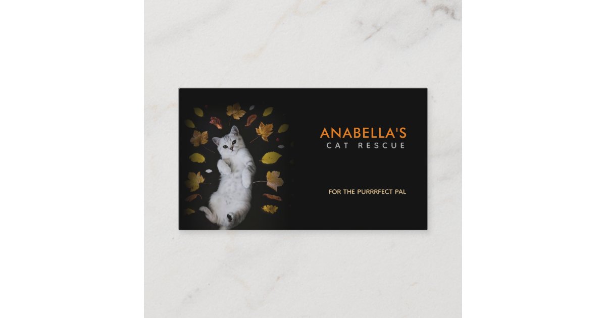 Cat Rescue Slogans Business Cards | Zazzle