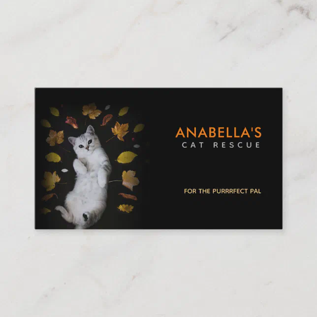 Cat Rescue Slogans Business Cards | Zazzle