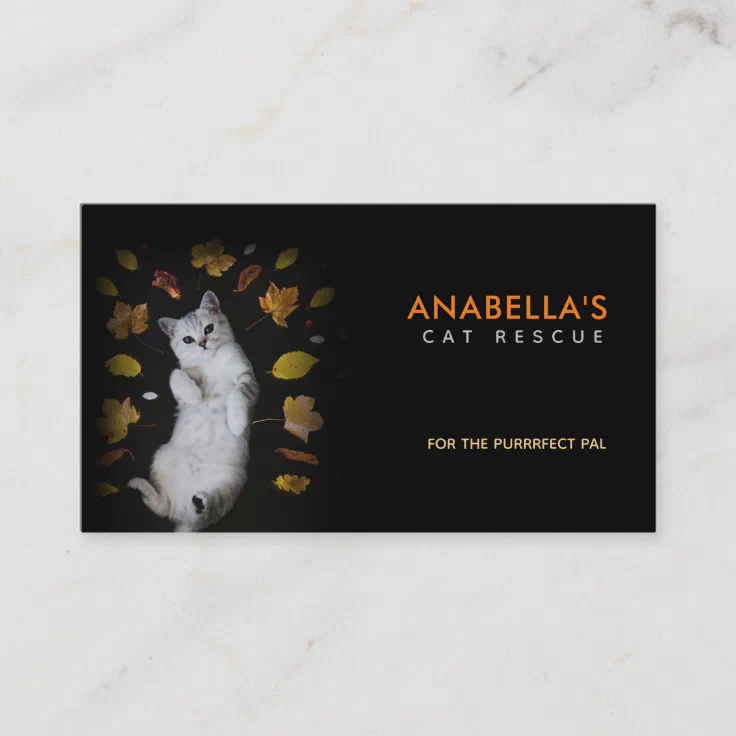 Cat Rescue Slogans Business Cards | Zazzle
