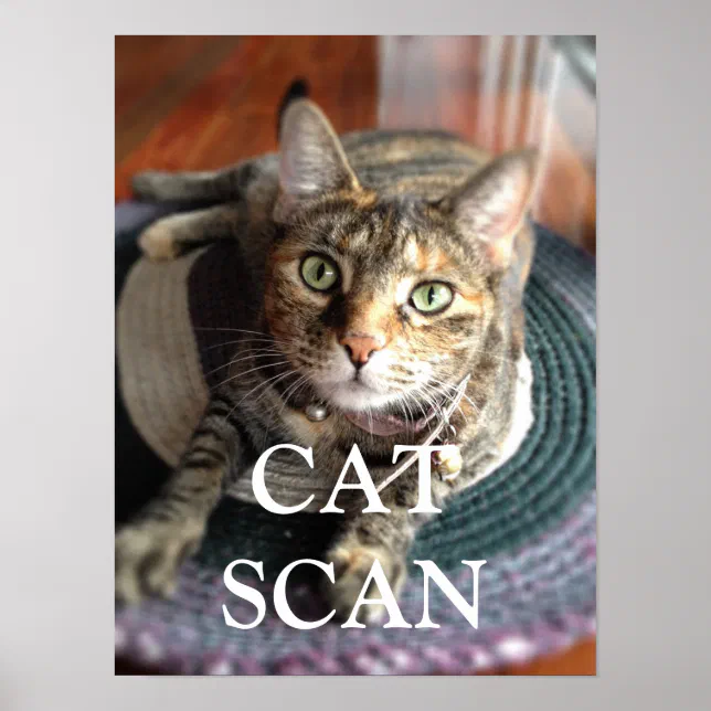 CAT SCAN POSTER | Zazzle