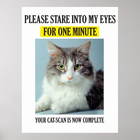 Cat Scan Poster | Zazzle.com