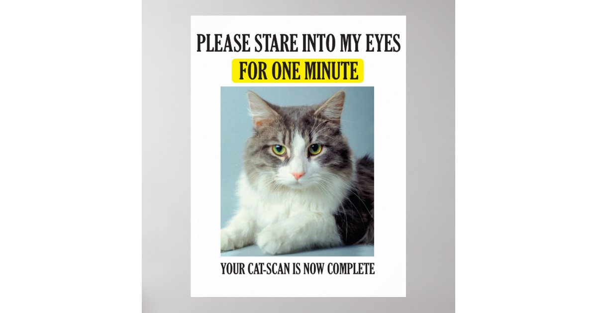 Cat Scan Poster | Zazzle