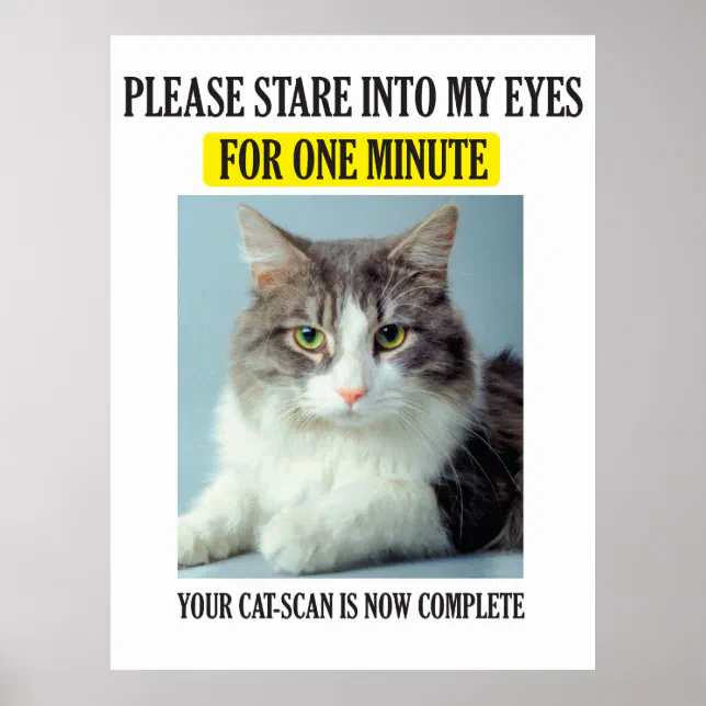 Cat Scan Poster | Zazzle