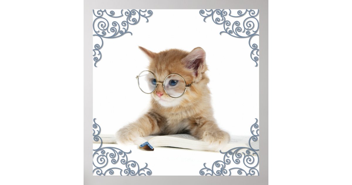 Cat Scholar Poster | Zazzle