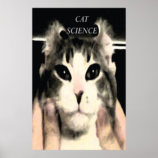 Cat Science