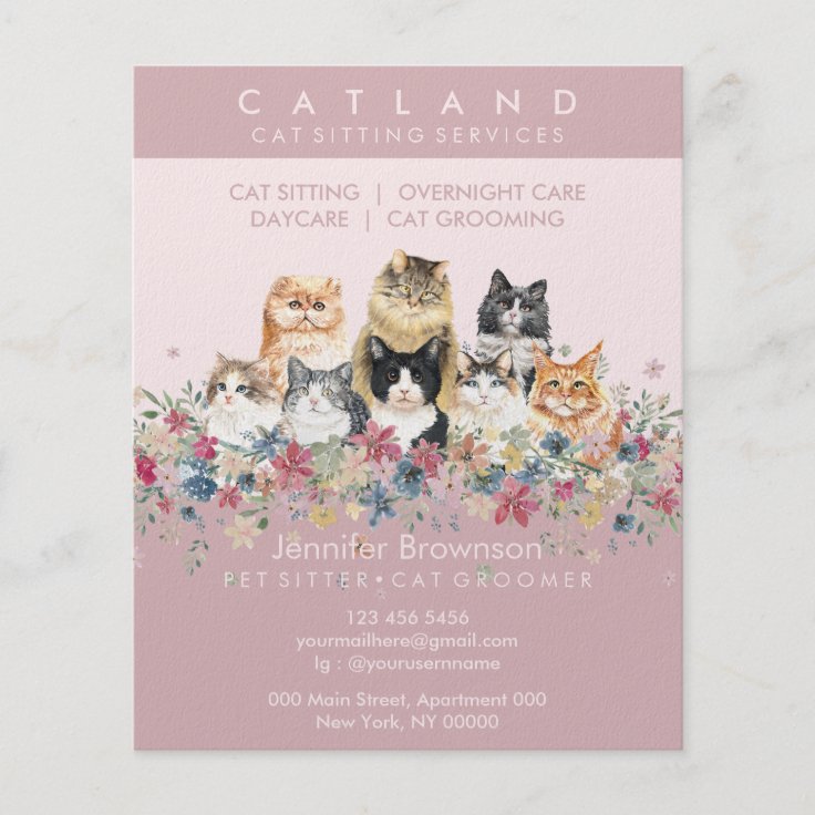 Cat Sitting Service Flyer | Zazzle
