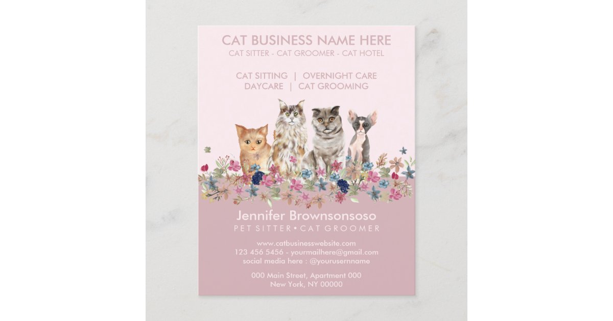 Cat Sitting Service Flyer | Zazzle