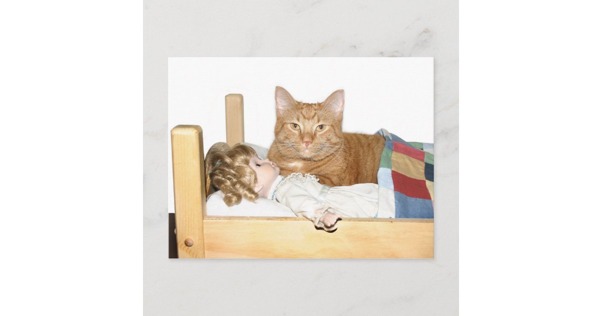 Cat slumber Party Postcard | Zazzle