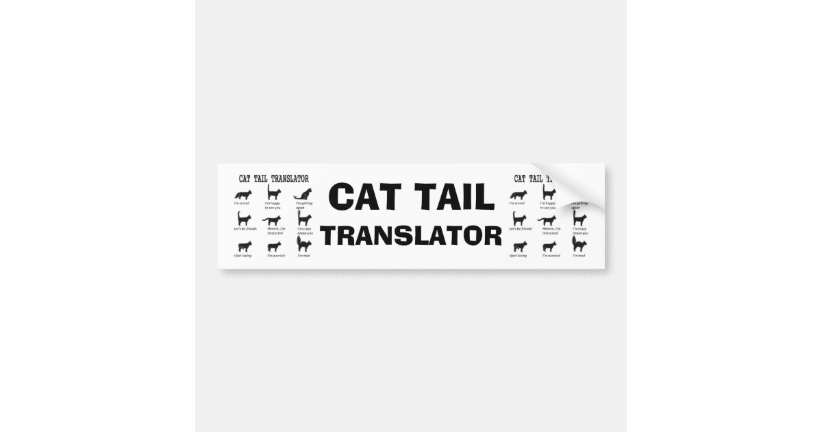 CAT TAIL TRANSLATOR BUMPER STICKER | Zazzle