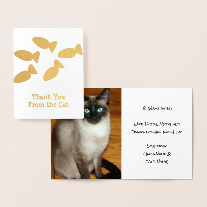 Cat Thank You - Add Kitty Photo Inside - Custom Foil Card | Zazzle.com