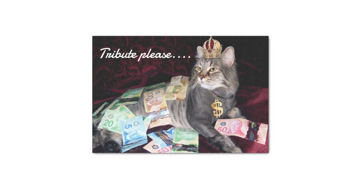 Cat Tissue Paper | Zazzle