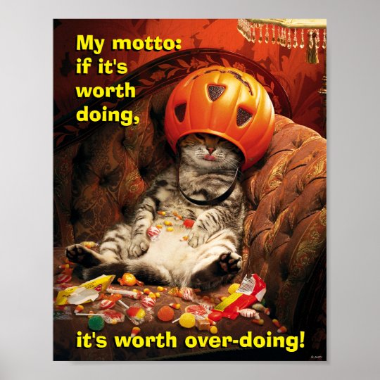 Cat Under Candy Bucket Poster | Zazzle.com