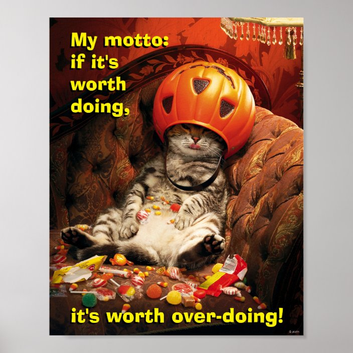 Cat Under Candy Bucket Poster | Zazzle.com