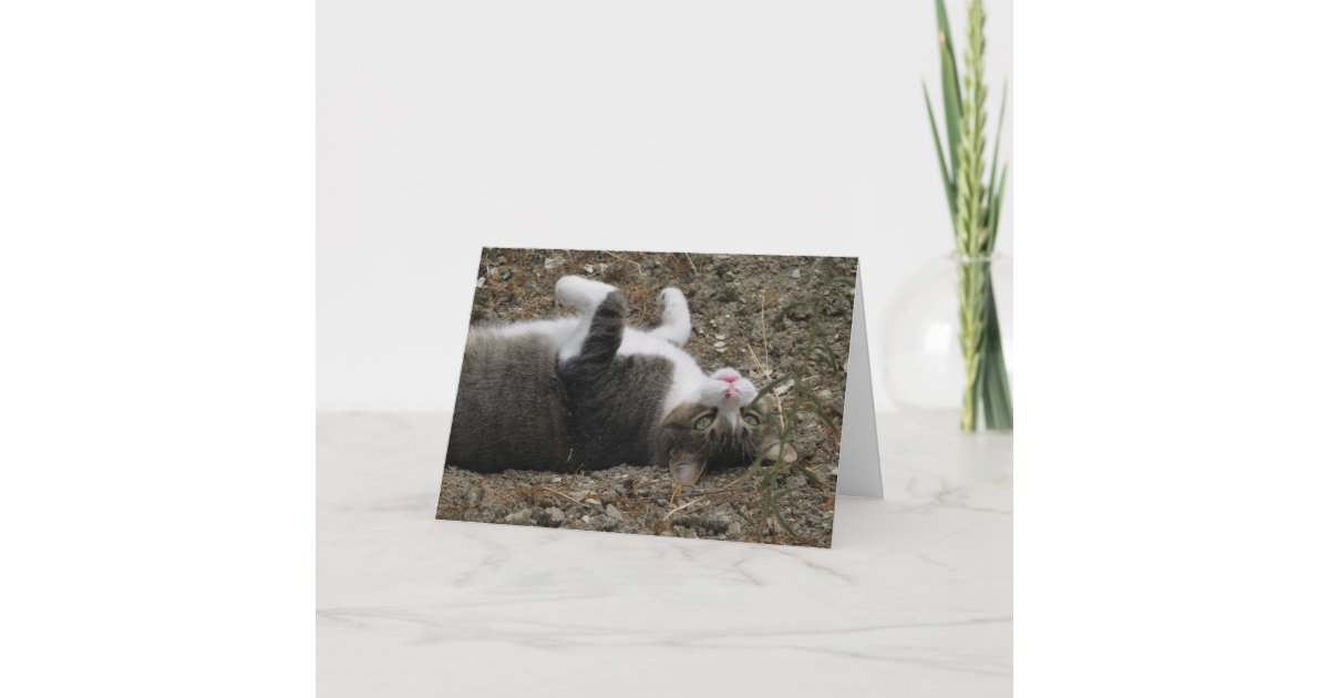 Cat Upside Down Easter Card | Zazzle