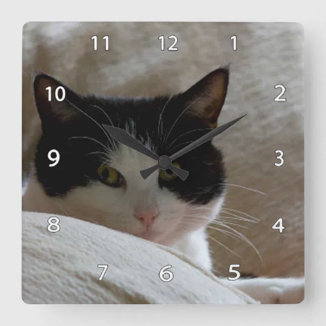 Cat Wall Clock | Zazzle