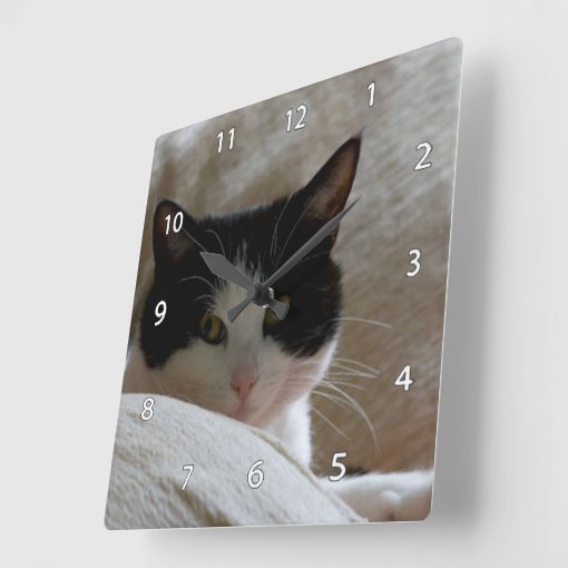 Cat Wall Clock | Zazzle