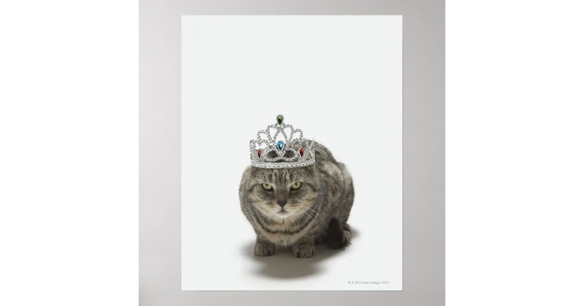 Cat wearing a tiara poster | Zazzle