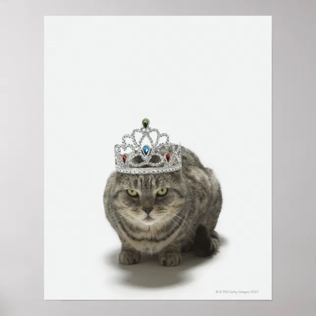 Cat wearing a tiara poster | Zazzle