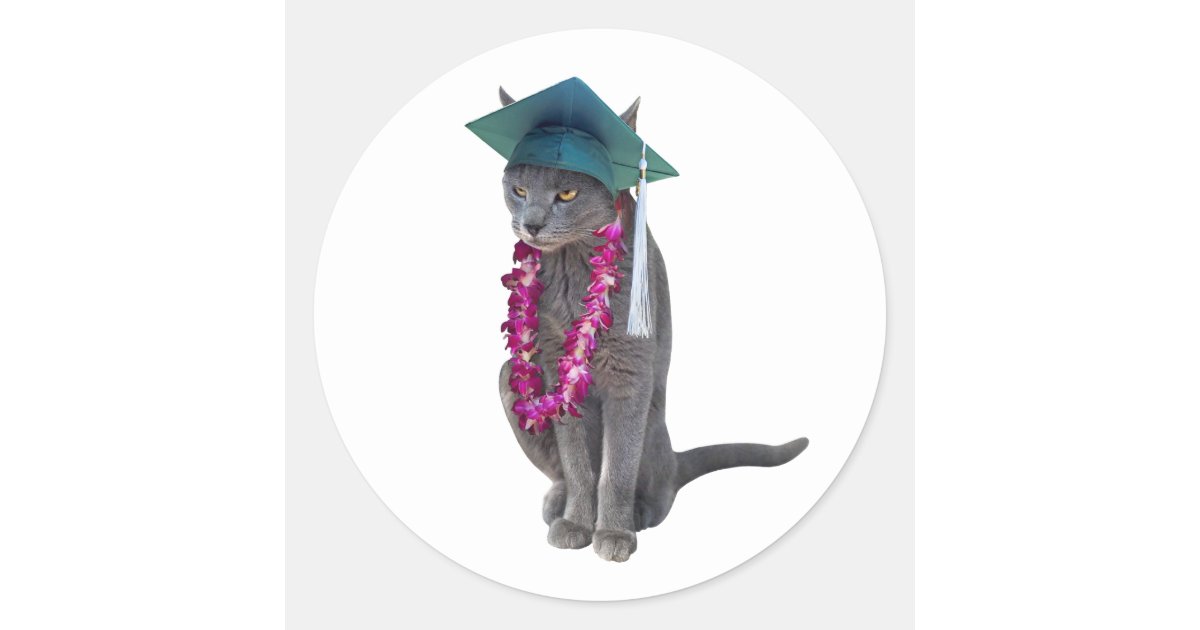 Cat with Lei Graduation Sticker | Zazzle