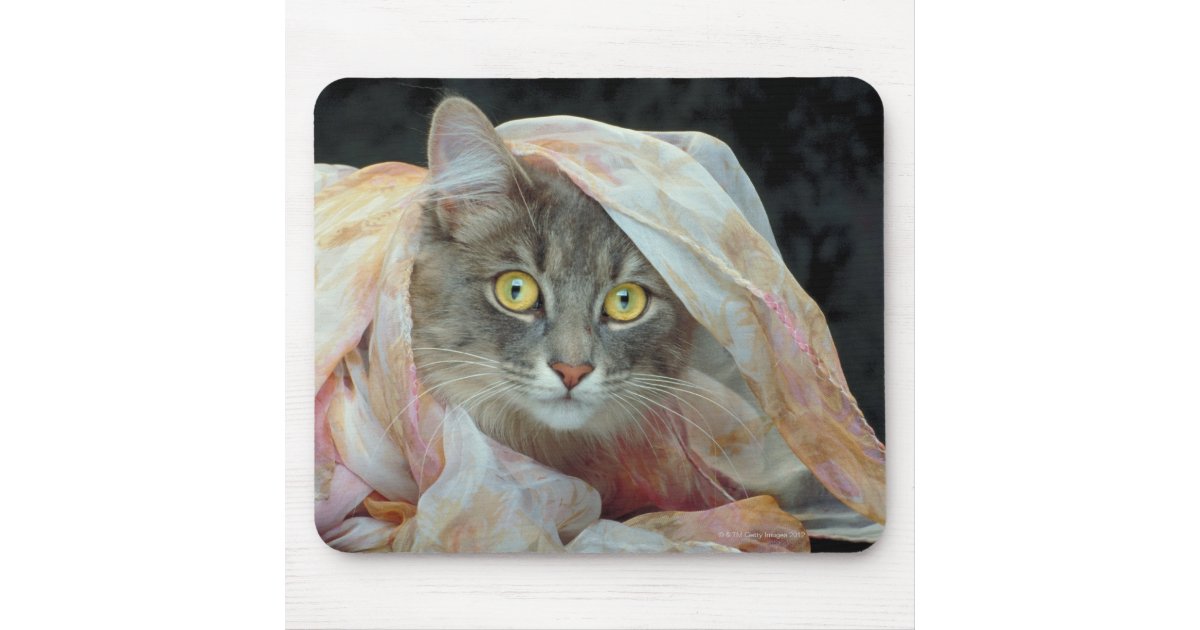 Cat wrapped in cloth mouse pad | Zazzle