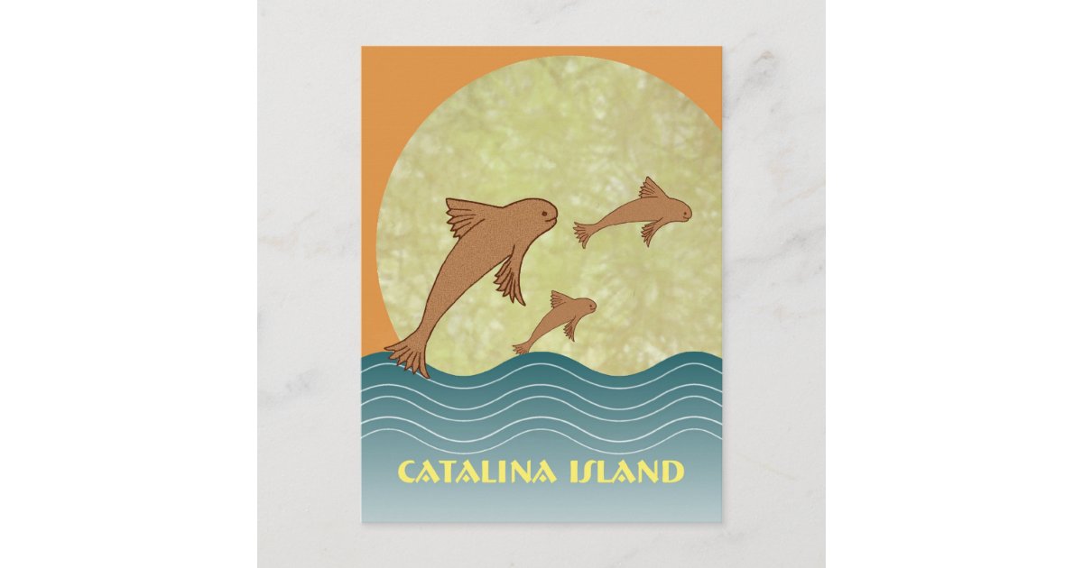 Catalina Flying Fish Postcard | Zazzle