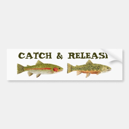 Catch & Release Bumper Sticker | Zazzle.com