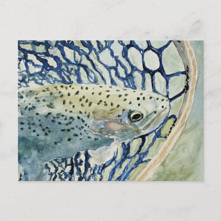 Catch & Release Fishing Designs Postcard | Zazzle