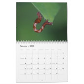 Caterpillars Calendar | Zazzle