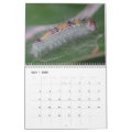 Caterpillars Calendar | Zazzle