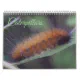 Caterpillars Calendar | Zazzle
