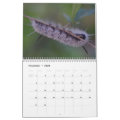 Caterpillars Calendar | Zazzle