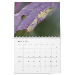 Caterpillars Calendar | Zazzle