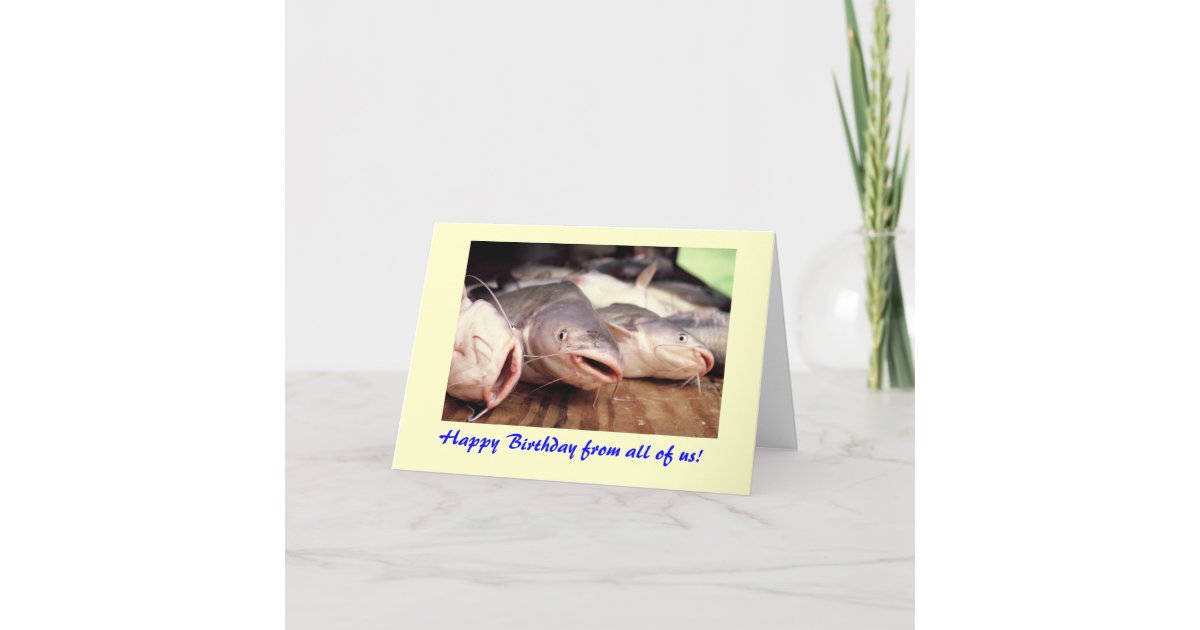 Catfish Birthday Card | Zazzle