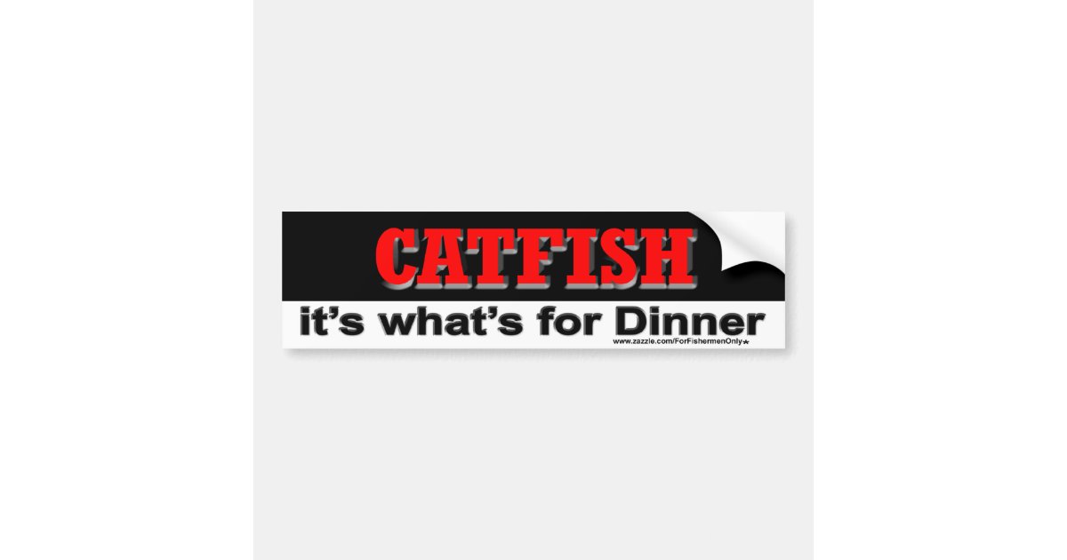 Catfish it's what's for dinner Bumper Sticker | Zazzle
