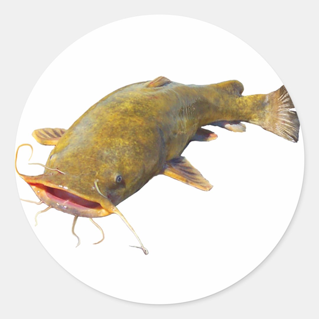 Catfish Lips Classic Round Sticker | Zazzle