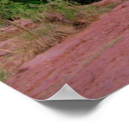 Cathedral Rock Sedona Poster | Zazzle