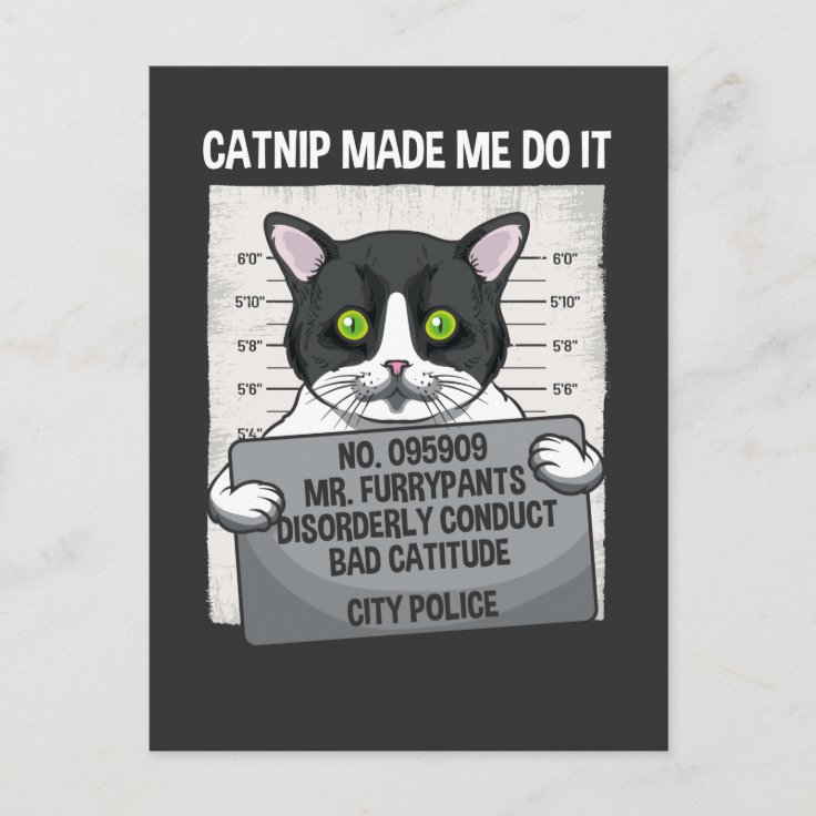 Catnip Made Me Do It Funny Cat Arrested Police Postcard | Zazzle