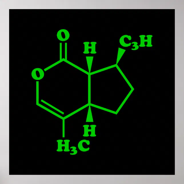 Catnip Nepetalactone Molecular Chemical Formula Poster | Zazzle