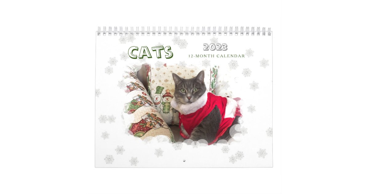 Cats 2023 Calendar | Zazzle