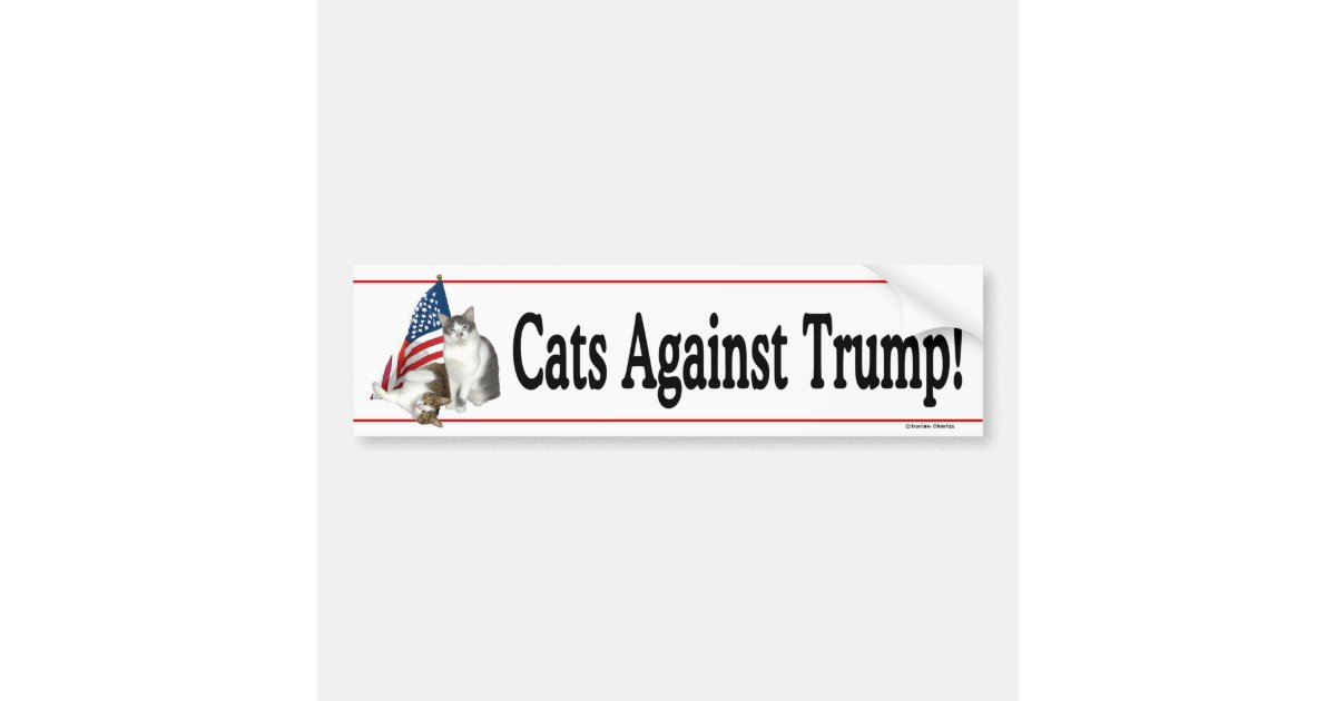 "Cats Against Trump" Bumpersticker Bumper Sticker | Zazzle