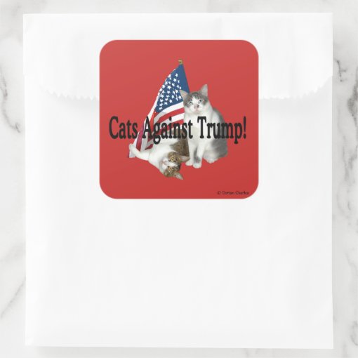 "Cats Against Trump" Stickers | Zazzle